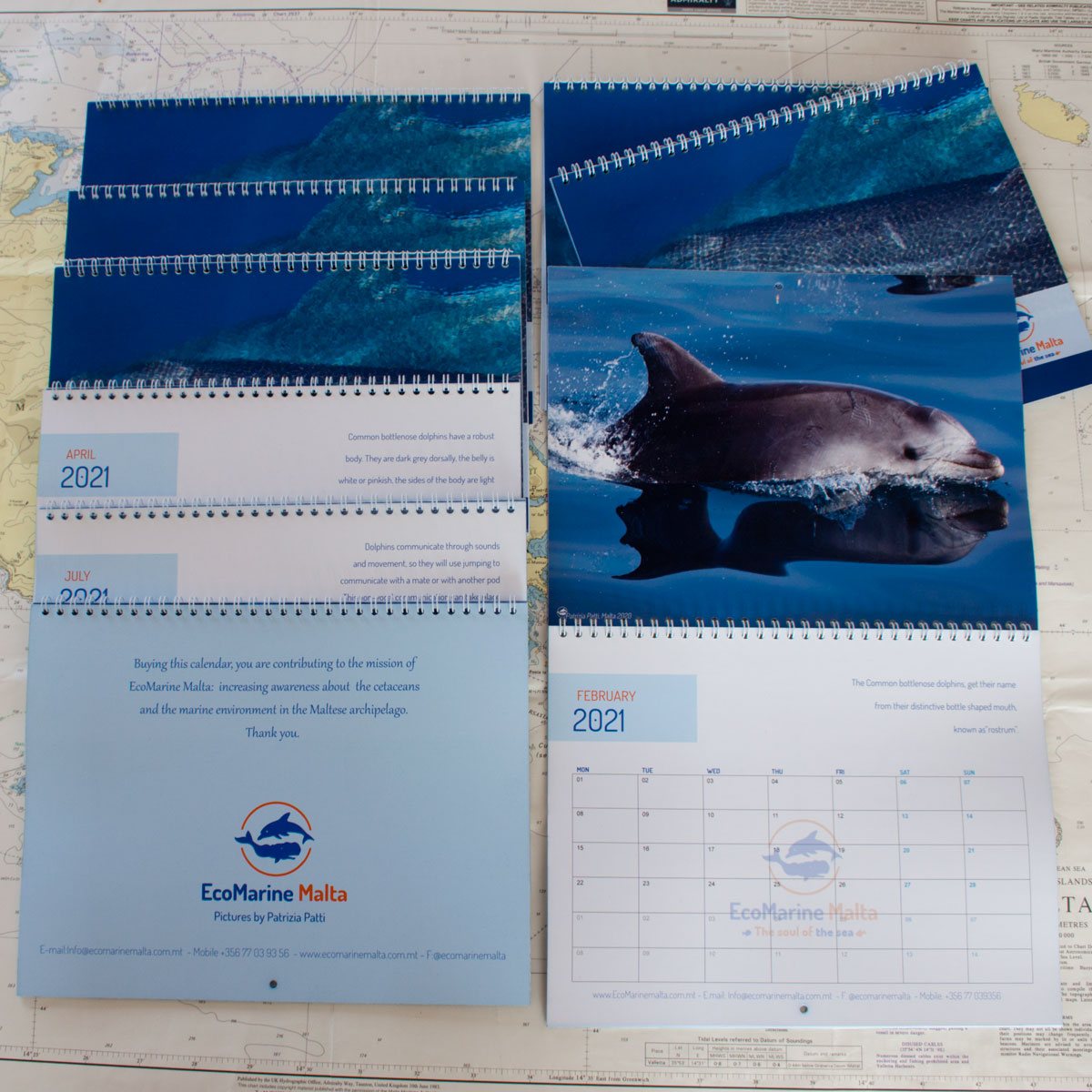 Dolphins Calendar - Eco Marine Malta